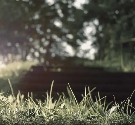 르네상스 시대 미술 특징과 대표 작가 - 골드빔